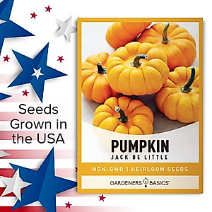 Mini Pumpkin Seeds for Planting (Jack Be Little) Small Heirloom, Non-GMO Vegetable Variety-5 Grams Seeds Great for Summer Pumpkin Gardens by Gardeners Basics