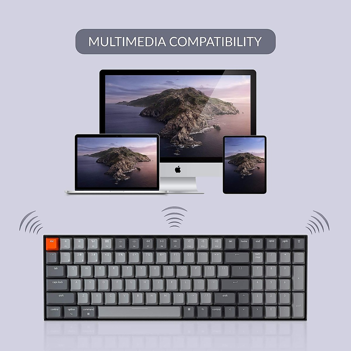 Keychron K4 96% Layout 100 Keys Wireless Bluetooth 5.1/Wired USB Mechanical Gaming Keyboard with Gateron G Pro Brown Switch RGB Backlight N-Key Rollover for Mac Windows PC-Version 2