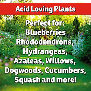 I Must Garden Soil Sulfur Pellets: Organic Soil Acidifier | Naturally Promotes Lush Growth – 5lb Shaker Jar