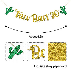 MonMon & Craft Taco Bout 30 Banner / Mexican Fiesta Themed 30th Birthday Banner / Cactus Adios to My 20's Birthday Party Decorations Gold Glitter