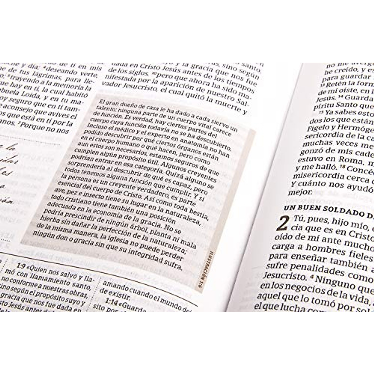 RVR 1960 Biblia de estudio Spurgeon, negro piel genuina con índice (Spanish Edition)