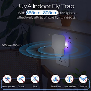 Flying Insect Trap - 2 Pack Fruit Fly Traps for Indoors, Plug-in Fly Trap Indoor with Auto Timing Function for Gnat, Mosquito, Flies, Gnat Trap for House Indoor(2 Device + 10 Glue Cards)