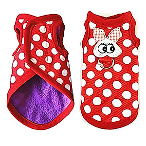 Anelekor Small Animals Christmas Costume Hamster Santa Coat Guinea Pig Harness and Leash Set Small Pets Clothes for Rats Lizard Kitty Mini Dog Hedgehog Iguana and Small Breeds Red, Medium