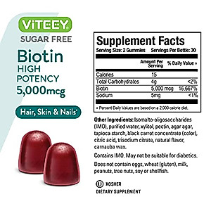 Sugar Free Biotin Gummies 5,000mcg - for Healthy Hair Growth, Healthy Skin Glow, & Strong Healthy Nail Growth for Women, Men, & Teens -Vegan, Non GMO, Gluten Free -Chewable Raspberry Flavored Gummies