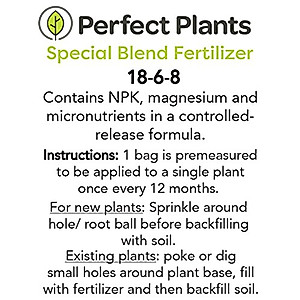 Perfect Plants Anna Apple Tree Live Plant, 4-5', Includes Care Guide