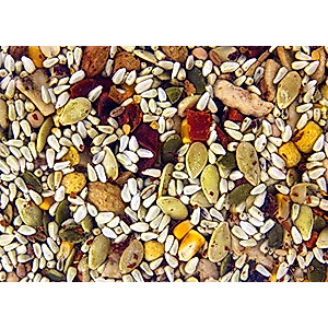 Volkman Seed Featherglow Parrot Treat 4lb