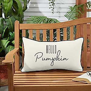 Mozaic Home Indoor/Outdoor Pillow, 3 x 20 x 13 inches, Natural, Black