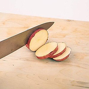 Progressive International Tower Fry Cutter, 1, White/Green