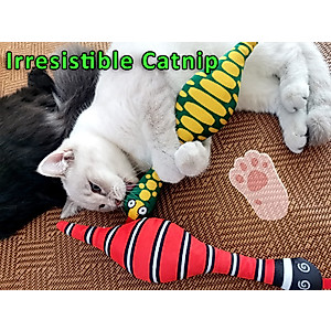 RUNLY Large Catnip Cat Toys 3PCS, Flipper Flopper Cat Toy Perfectly Caters Cat's Natural Instinct to “Rabbit Kick”, Cat Toys with Catnip for Indoor Cats, Cute Cat Toys with Well-fed Snake Shape