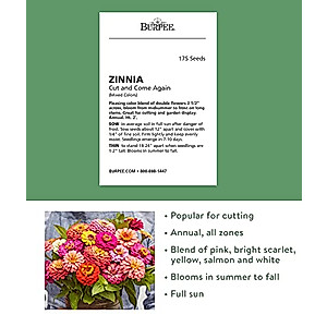Burpee Cut & Come Again Zinnia Seeds 175 seeds
