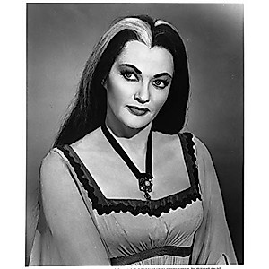 The Munsters: The Complete Series [DVD]