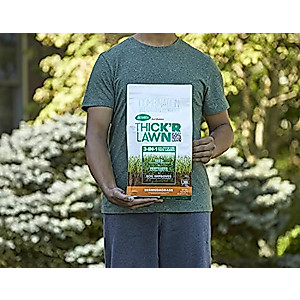 Scotts Turf Builder Thick'R Lawn Bermudagrass: Seed, Fertilizer, Soil Improver, 12 lbs., 2-Pack