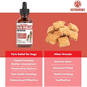 Natural Pain Relief for Dogs | Dog Pain Relief | May Help with Joint, Hip, Heart Health & Much More | Pain Relief for Dogs for Older Dogs | Dog Supplements & Vitamins | Dog Joint Pain Relief | 1 fl oz