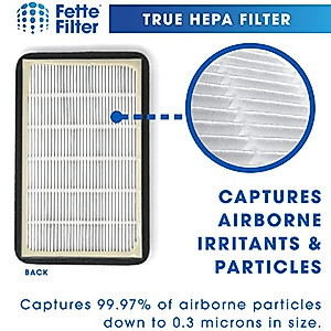 Fette Filter - FLT4010 Replacement Filter Compatible with GermGuardian Filter A for Models AC4010 & AC4020 Series and Black + Decker Model BXAP040 Air Purifiers - Pack of 2