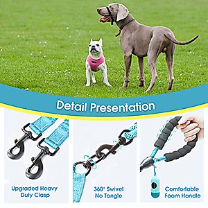 BAAPET Double Dog Leash, 4 FT Rope Dog Leash with Tangle Free Shock Absorbing Bungee and Poop Bags for Dual Small Medium Large Dogs (Medium/Large, Blue)