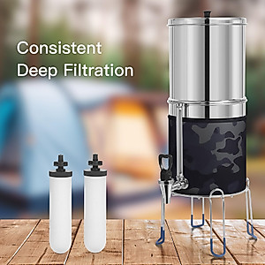 FACHIOO 7" Ceramic Filter, Replacement Filters for ProOne® G2.0 Filters, ProOne® Big+ or Big II Countertop Gravity Water Filter System and FACHIOO King Tank Series(Pack of 2)