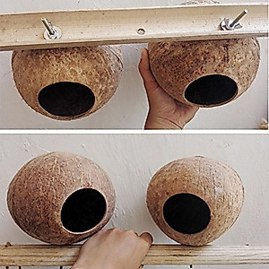 OMEM Bird Coconut House,Hamster House,Coconut Shells can Fixed in Bamboo, Birdcages, Hamster Cages (L)