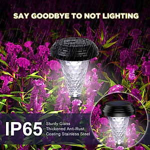 Minord Ultra Bright Solar Lights Outdoor Waterproof, [Up to 12H Lighting / Stainless Steel] Solar Outdoor Lights Auto On/Off, LED Garden Lights Solar Powered for Yard Patio Pathway Landscape