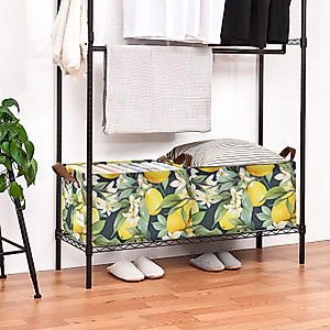 Emelivor Watercolor Yellow Lemon Black Storage Bins for Shelves Foldable Storage Baskets for Organizing Closet Shelf Nursery Home Decorative Rectangular Storage Cubes with Handles