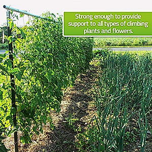 De-Bird: Trellis Netting for Climbing Garden Plants, Grow Garden Flowers, Green Pea and Vine Plants