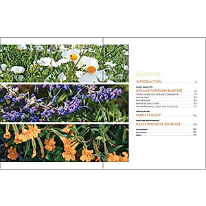 The California Native Landscape: The Homeowner's Design Guide to Restoring Its Beauty and Balance