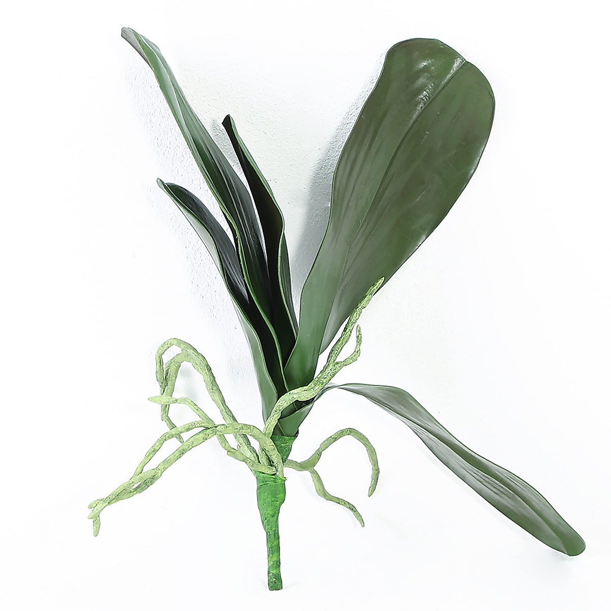 Qianmo Artificial Orchid Leaf Plants PU Latex Real Touch Faux Leaves Arrangement Home Décor Office Garden Bonsai Decoration Flowers (Big Size (3 Bunches))