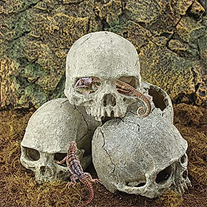 Tfwadmx Aquarium Skull Decor, Resin Fish Tank Decorations Cave Betta Fish Hiedout Reptile House for Small Fish,Shrimp