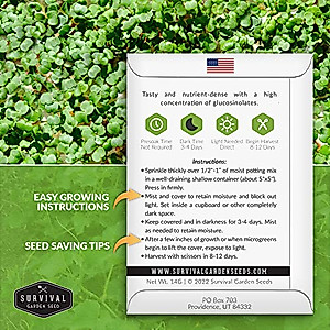 Survival Garden Seeds Cabbage Microgreens for Sprouting and Growing - 2 Packs - Sprout Green Leafy Micro Vegetable Plants Indoors - Grow A Mini Windowsill Garden - Non-GMO Heirloom Variety