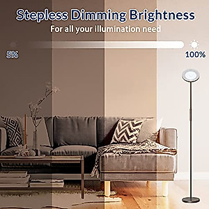 SHINESTAR LED Floor Lamp, 30W/2500LM Bright Sky Floor Lamp, Stepless Dimming and 3 Color Temperatures, Bluetooth WiFi and Touch Control, for Living Room, Bedroom, Office (Black)