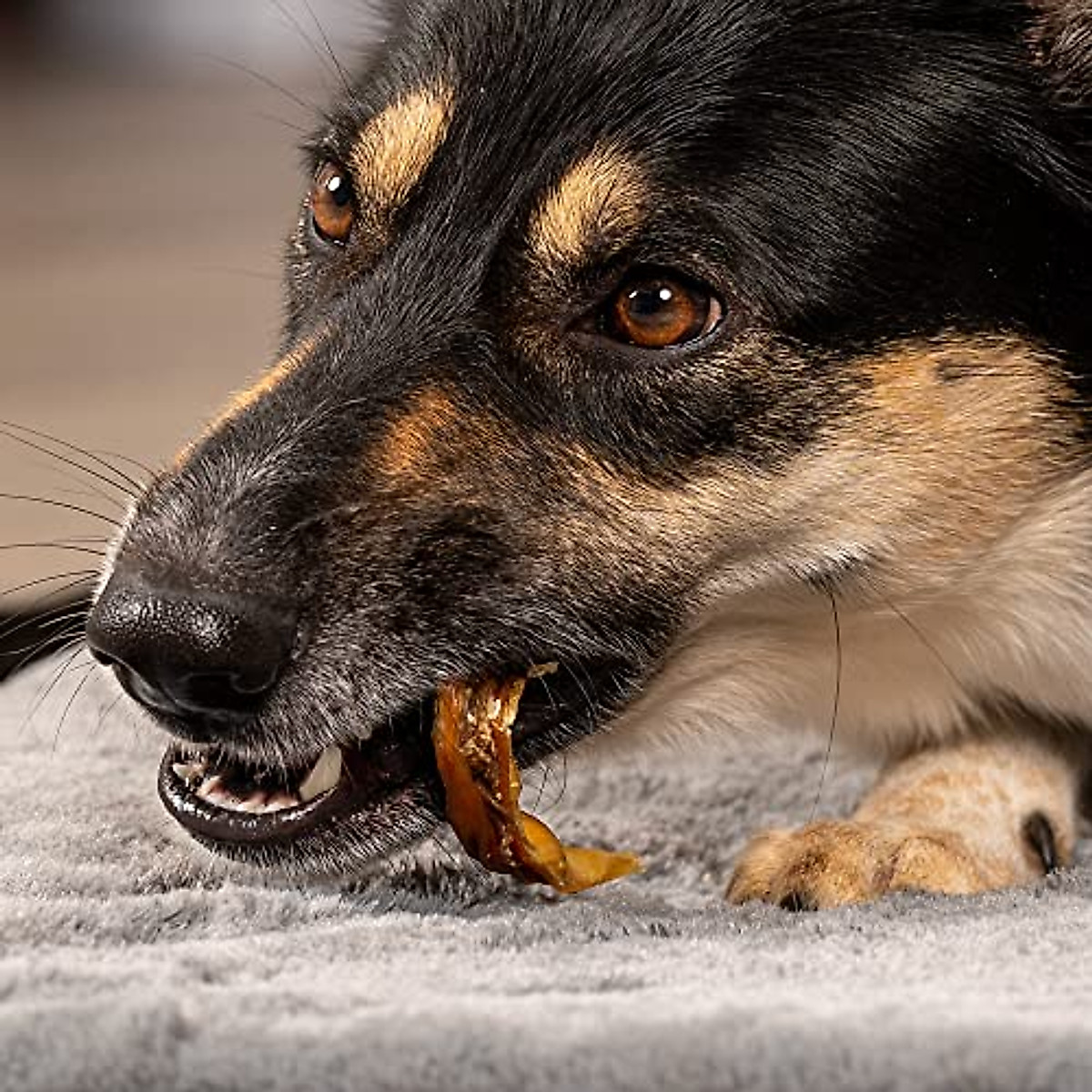 Pet Factory Real Chewz Piggy Bites Dog Chew Treats, 100% All-Natural - 16 oz