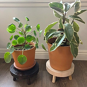 TOPZEA Set of 2 Mini Wooden Stool Display Stand, Wood Riser for Bonsai, Flower Pot, Small Potted Plant Stands Round Rustic Planter Stools Pedestal Risers for Garden, Patio, Home