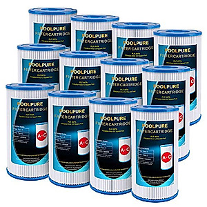 POOLPURE Replacement Filter for Type A or C, Compatible with Intex 29000E/59900E, Easy Set Pool Filters, Summer Escapes or Summer Waves Above Ground Pools, Pack of 12