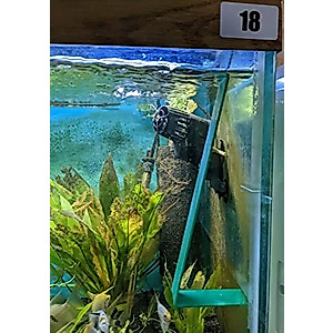 Hang on Top Angelfish & Discus Breeding Slate. Green Acrylic Simulates Amazon Sword Leaf Providing Spawning Surface for Egg Laying. Fish Room Tested & Breeder Approved. Made in USA