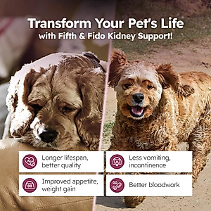 Milk Thistle for Dogs - Liver Support for Dogs - Milk Thistle for Cats - Milk Thistle Liquid - Dog Liver Supplement - Hepato Support for Dogs - Lower Liver Enzymes Naturally