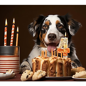 Number 5 Candle, Orange Butterfly Candle 5 Birthday Number Candles 5 for Cake Candles Party Supplies