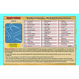 Bug Sales 10 Million Live Beneficial Nematodes Hb & Sf - Kills Over 200 Different Species of Soil Dwelling and Wood Boring Insects.