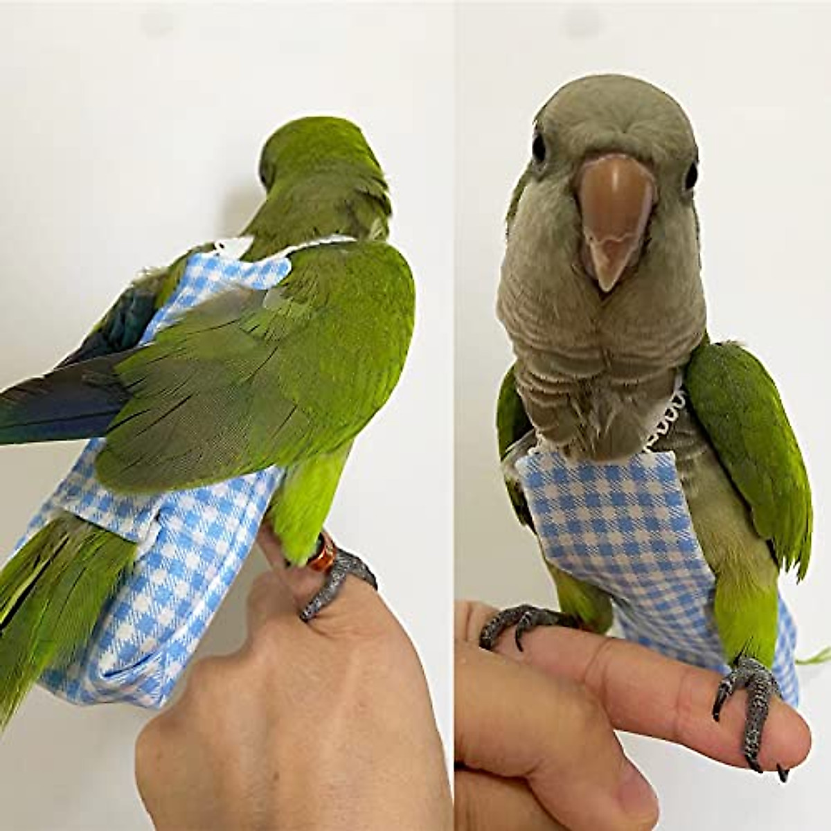 GUANLANT Quaker Parrot Flight Suits Diapers for Monk Parakeets, Cockatiels Flight Suits, Parrot Clothes, Bird Training Nappy Suit Liners Clothes with Hanger Leash Hole for Sun Conure Senegal Lorikeet