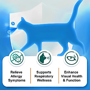 L-Lysine Powder for Cats, Lysine Supplement for Cats, Support Immune System, Respiratory Health & Visual Function and Allergy Relief, Pets Health Supplies Multivitamins, Salmon Flavor - 4.23 oz / 120g