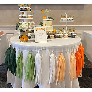 25PCS Little Cutie Baby Shower Decorations Citrus DIY Tissue Tassel Garland Banner Tangerine Clementine Orange Themed Birthday Party Wedding Backdrop Nursery Wall Garden Hanging Décor