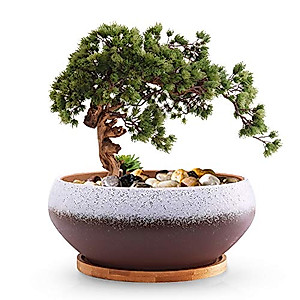 EPFamily 8 Inch Ceramic Round Succulent Planter with Drainage Hole and Bamboo Tray, Modern Large Flower Pot for Herb Garden Bonsai Planting