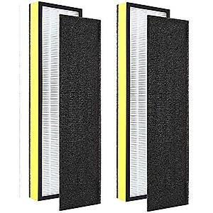 2-Pack FLT4825 True HEPA Air Purifier Filter B Replacement Compatible with GermGuardian AC4300BPTCA, AC4900CA, AC4825, AC4825DLX, AC4850PT, CDAP4500BCA, CDAP4500WCA PureGuardian AP2200CA