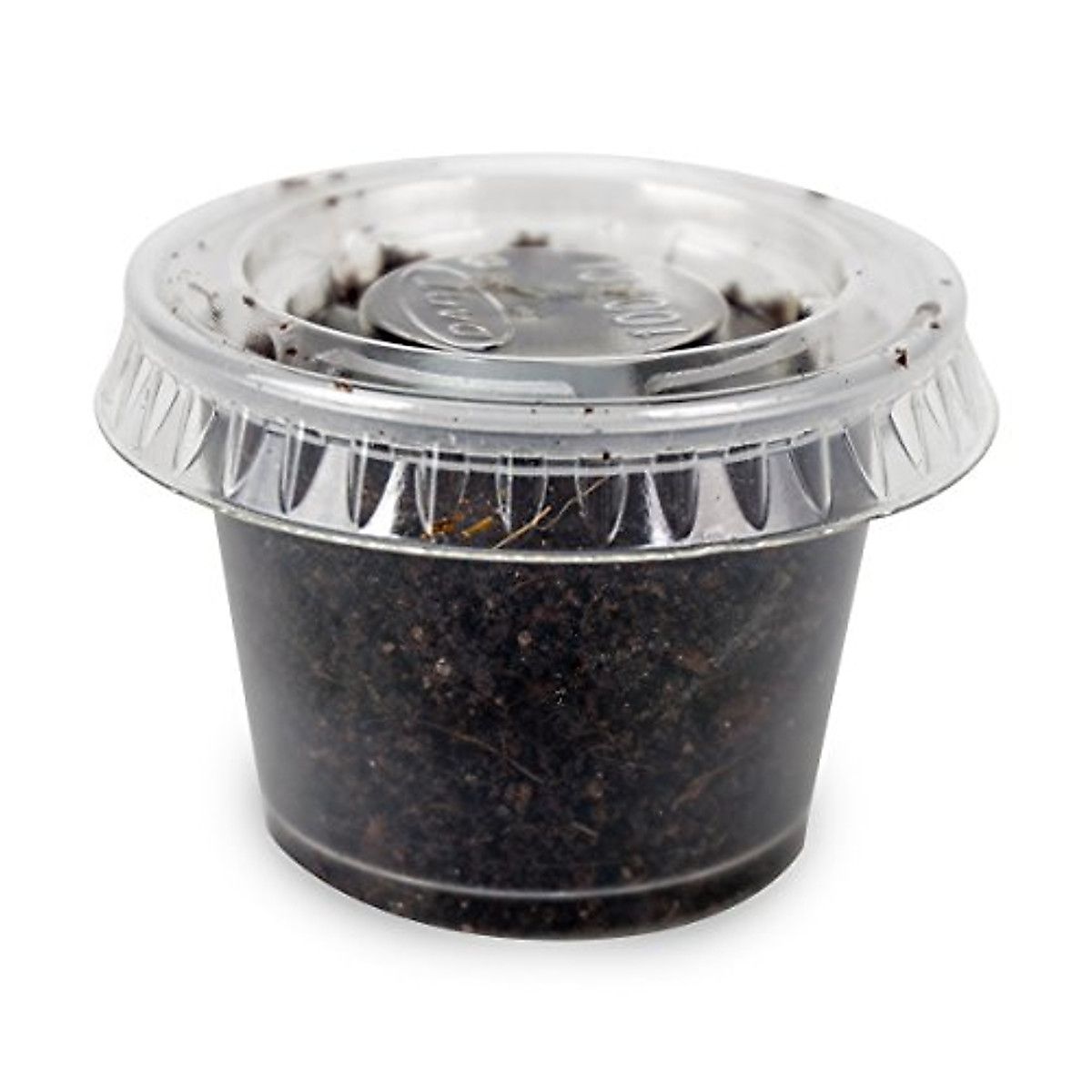 Josh's Frogs Black Soldier Fly Larvae (50 Count - Small)