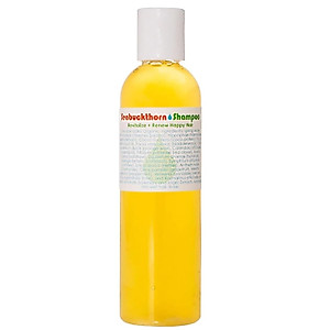 LIVING LIBATIONS - Organic Seabuckthorn Shampoo | Natural, Wildcrafted Clean Beauty (4 fl oz | 120 ml)