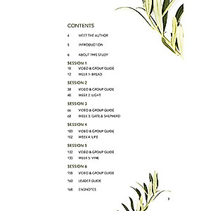 Finding I AM: How Jesus Fully Satisfies the Cry of Your Heart - Bible Study Book