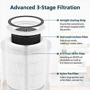 TPAP001 H13 True HEPA Replacement Filter, Only Compatible with TOPPIN TPAP001 Comfy Air C2 Air Purifier, 4-in-1 HEPA Air Filter, Part # TPFF001【Not Fit Kokofit KJ510B & TPAP002 TPAP004 TPAP005】