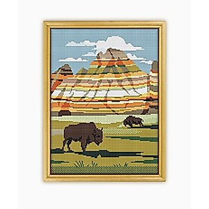 Badlands National Park CS456-2 - Counted Cross Stitch KIT#2. Set of Threads, Needles, AIDA Fabric, Needle Threader, Embroidery Clippers and Printed Color Pattern Inside.