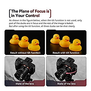 TTartisan 50mm F1.4 Tilt Lens, Compatible with Full-Frame Sony E-Mount Mirrorless Cameras Alpha a7 a7II a7III a7R a7RII a7RIII a7RIV a7S a7SII a9 a7C