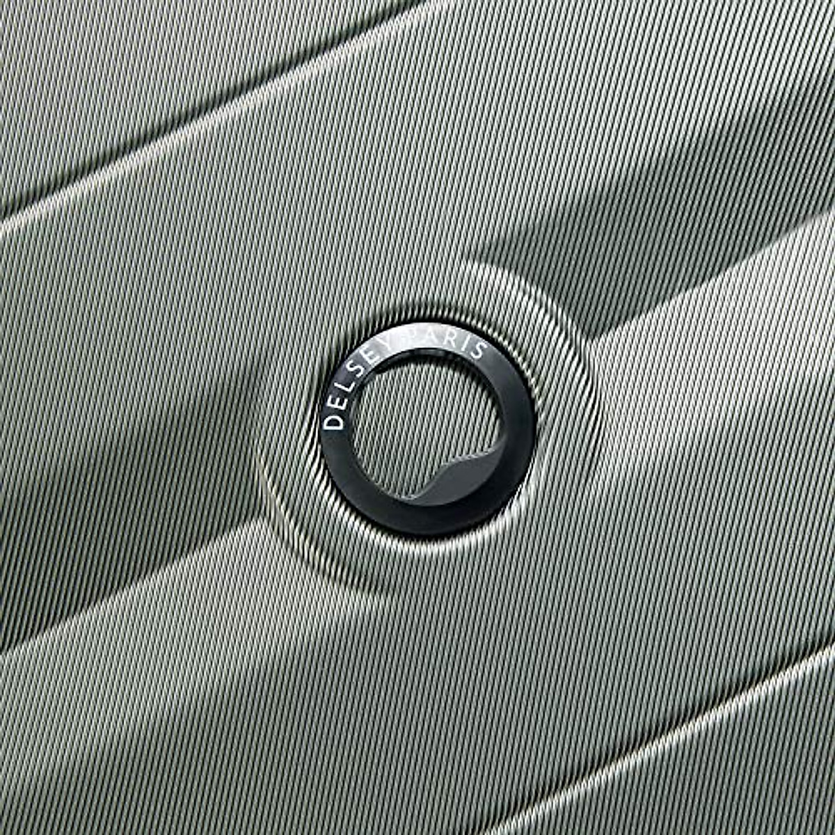 DELSEY PARIS Unisex Adult 64 Liters, Iguana, M (67 cm-64 litres)