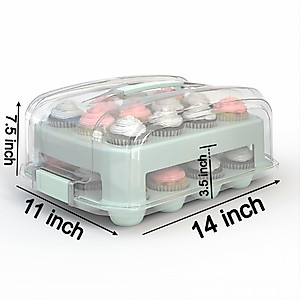Top Shelf Elements Cupcake Carrier, Fashionable Green Cupcake Holder Carries 24 Standard-Size Cupcakes, Durable Muffin Traveler Two Tier Stand and Reusable Cupcake Box