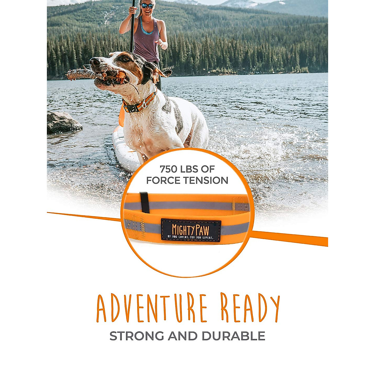 Mighty Paw Waterproof Dog Collar - Smell-Proof Active Gear - Reflective Stripe Coated Nylon Webbing - Dog Swim Collar - Smell Resistant Dog Collar - Dog Collar for All Dog Breeds - (Orange, Medium)